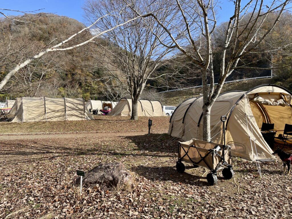 【京都府】「DOD CAMP PARK KYOTO」と「スプリングスひよしキャンプフィールド」って何が違うの？ | たまに一眼レフで撮る関西 ...